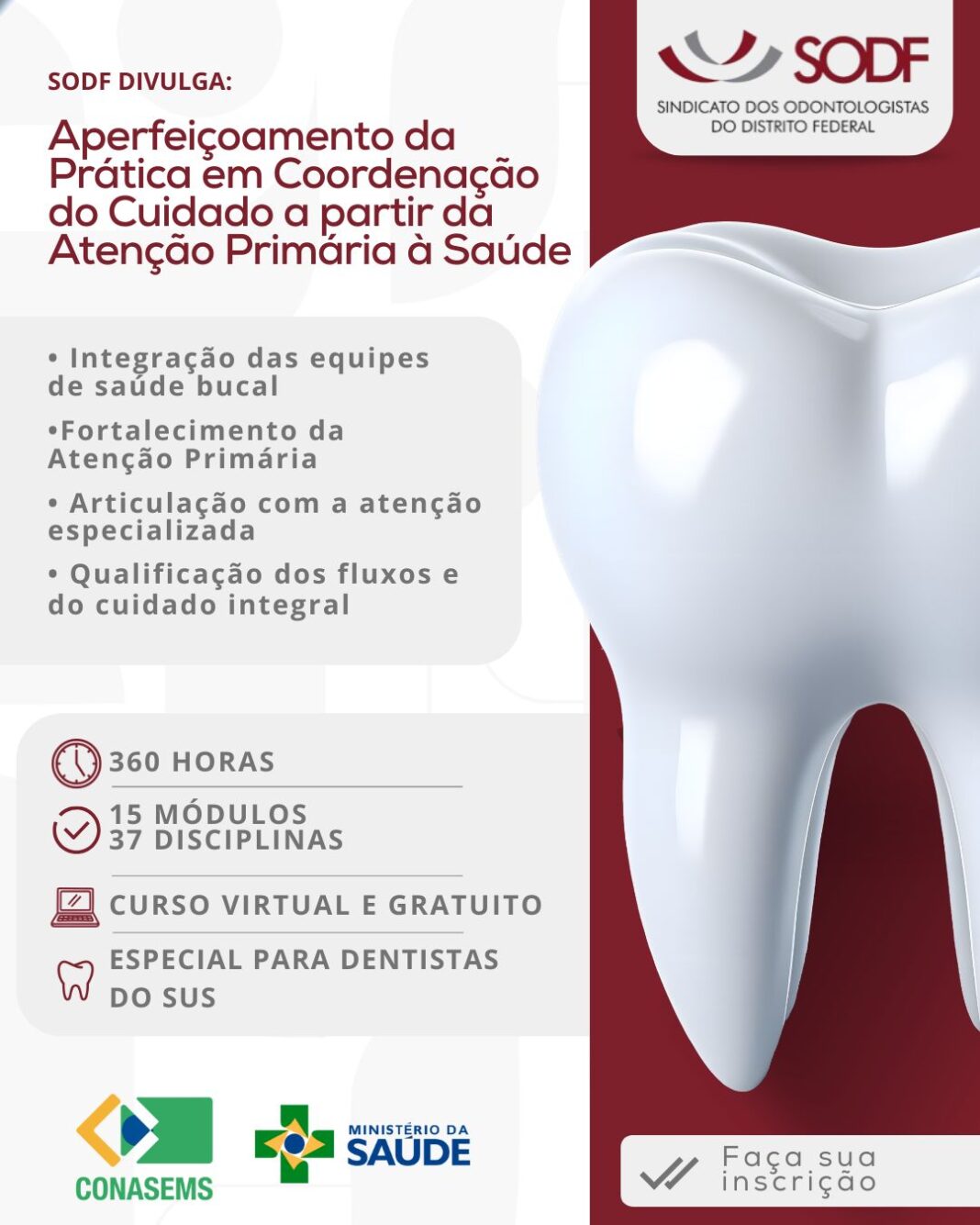 Curso fortalece a coordenação do cuidado no SUS com foco na Atenção ...